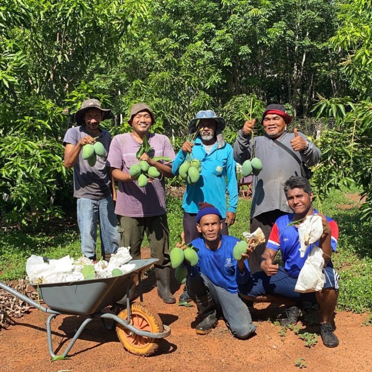 About – Harumango Sdn Bhd