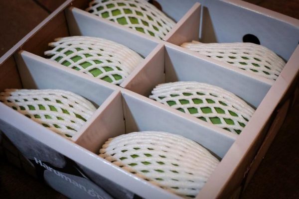 HARUMANGO DELIVERY SERVICES – Harumango Sdn Bhd