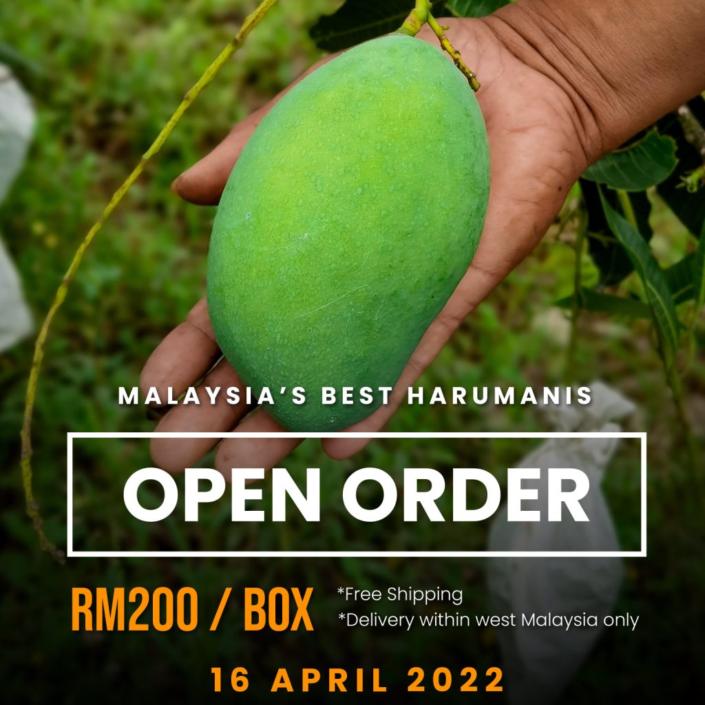 News – Harumango Sdn Bhd