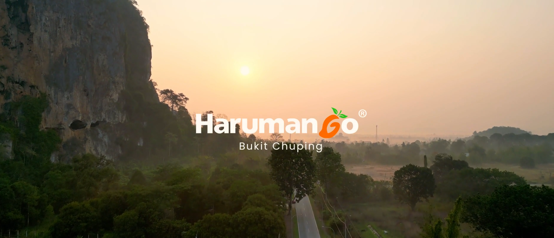 Indulge in the sweet embrace of Harumanis, nature's golden delight ...