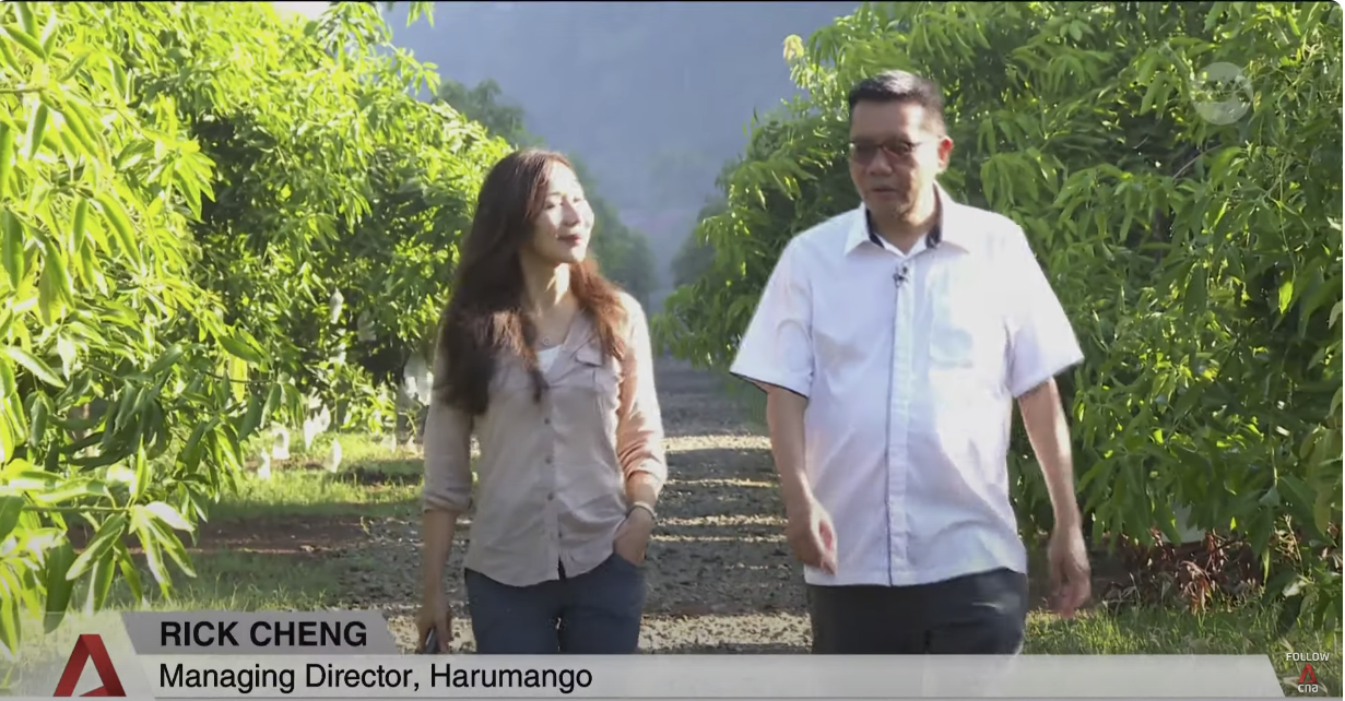 "The hottest place in peninsular Malaysia is producing the sweetest ...